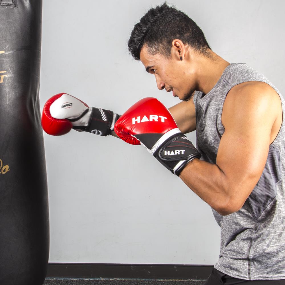 HART Impact Boxing Gloves - SPORTANGO - Singapore's No.1 Leading PE ...