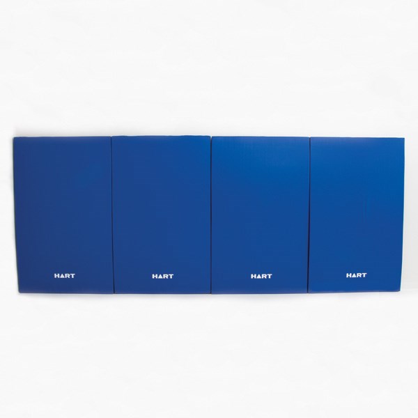 HART Wall Mat Padding - SPORTANGO - Singapore's No.1 Leading PE ...